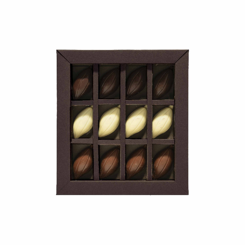 AMEDEI ATTIMO GIFTBOX - 12 Chocolate Cabosses - Fine Chocolate from ...